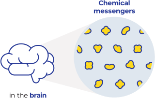 What is COBENFY™ (xanomeline and trospium chloride)?
